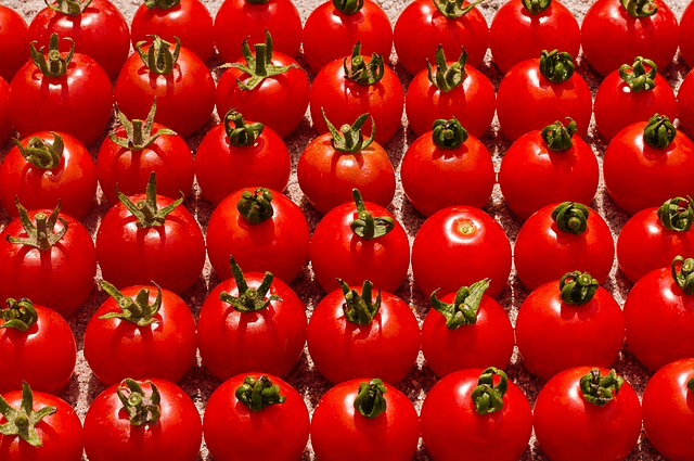 Farming uses too much water? These CRISPR gene-edited tomatoes resist ...