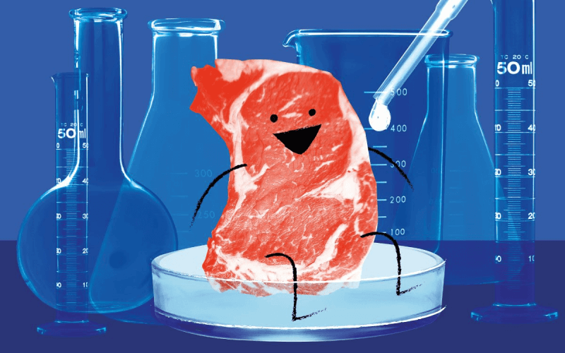 As Republican-led states across the US mull lab-grown meat labeling and ...