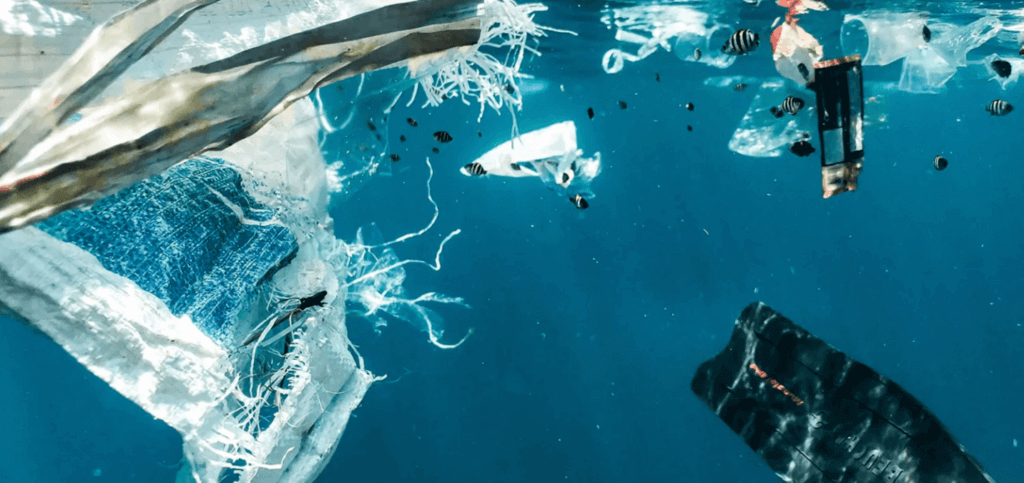 The EU passes landmark legislation to curb plastic nurdles threatening ...