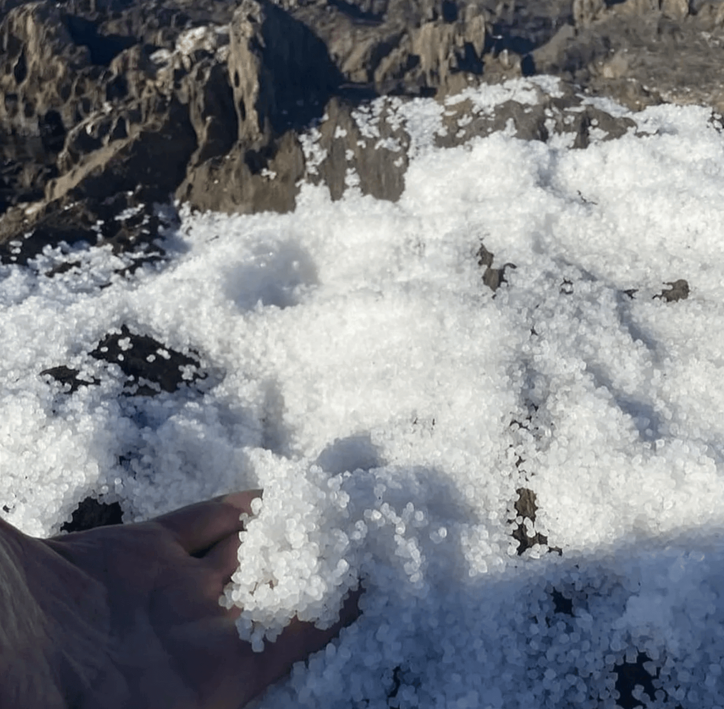 Genetically engineered plastic-eating bacteria could clean up our ...