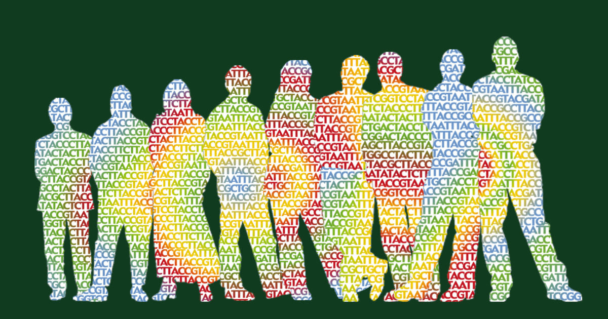 50 colorful examples of how genetics programs human diversity - Genetic ...