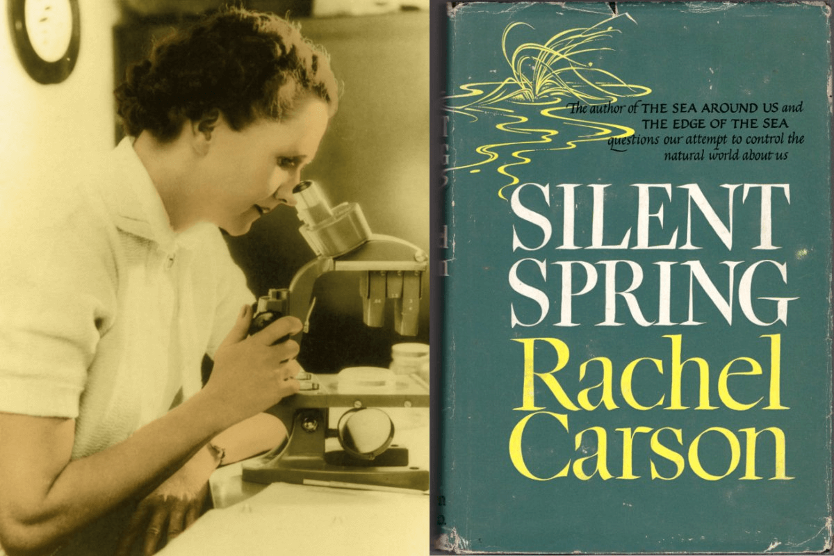 How Rachel Carson’s “Silent Spring” inspired today's misplaced ...