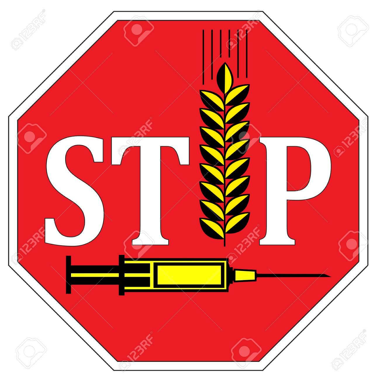 The next 'big thing' in genetically modified crops: Drought-tolerant ...