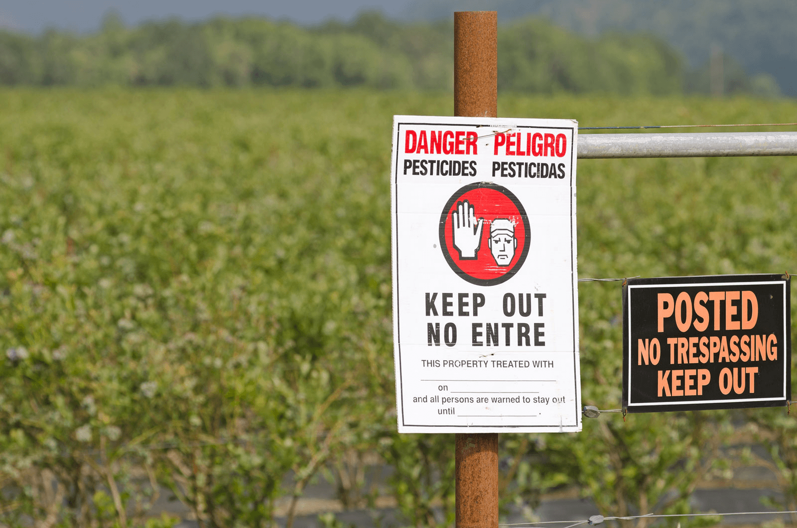 Viewpoint: Understanding risk—Why does trace pesticide residue spark ...