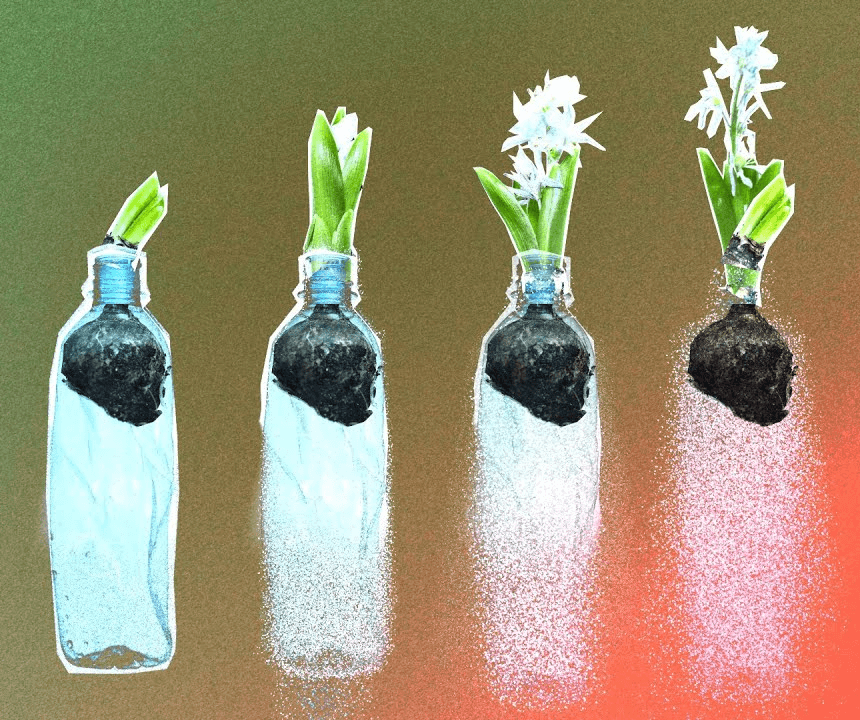 Plastic for dinner? Newly discovered microbes may soon be a lunch treat ...