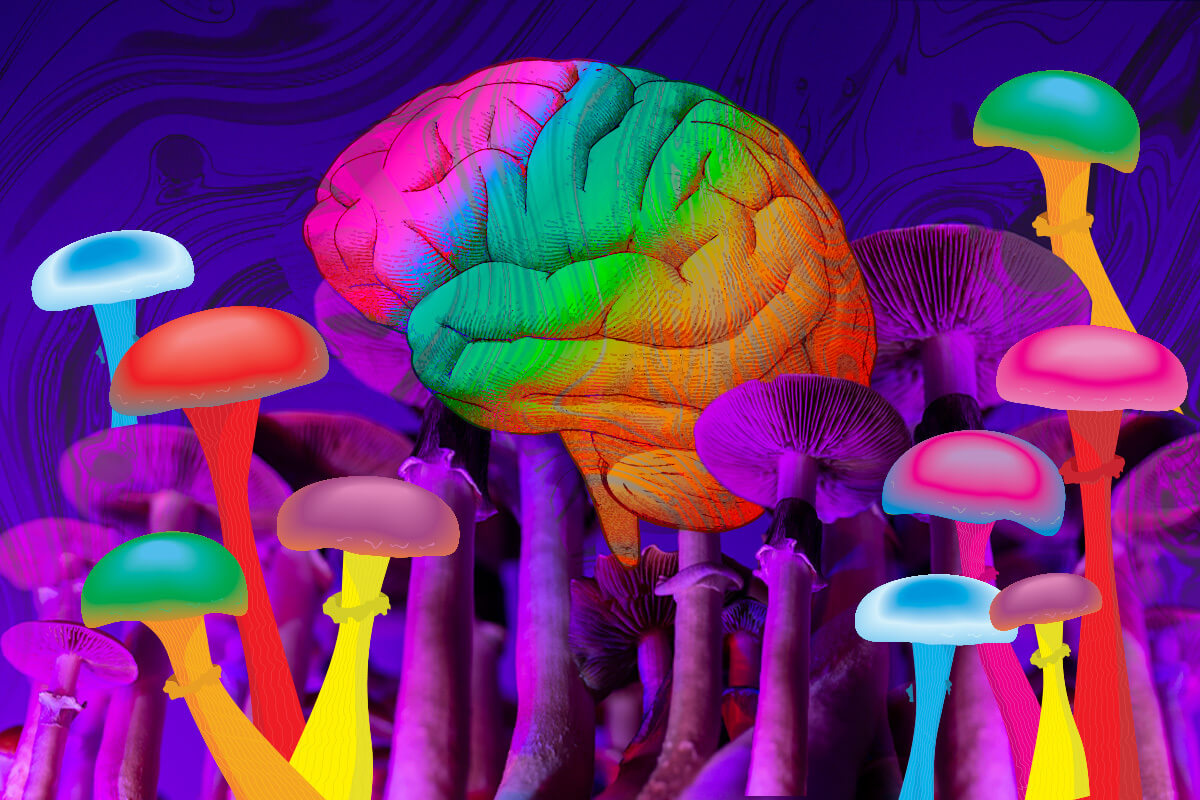 Psychedelic drugs offer healing potential, but slow legalization stalls ...