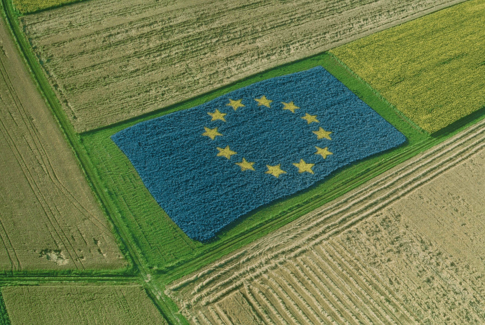 More than 40 gene-edited crops will be available to European farmers ...