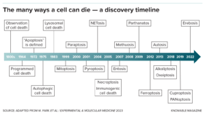 Your cells are dying. All the time. - Genetic Literacy Project