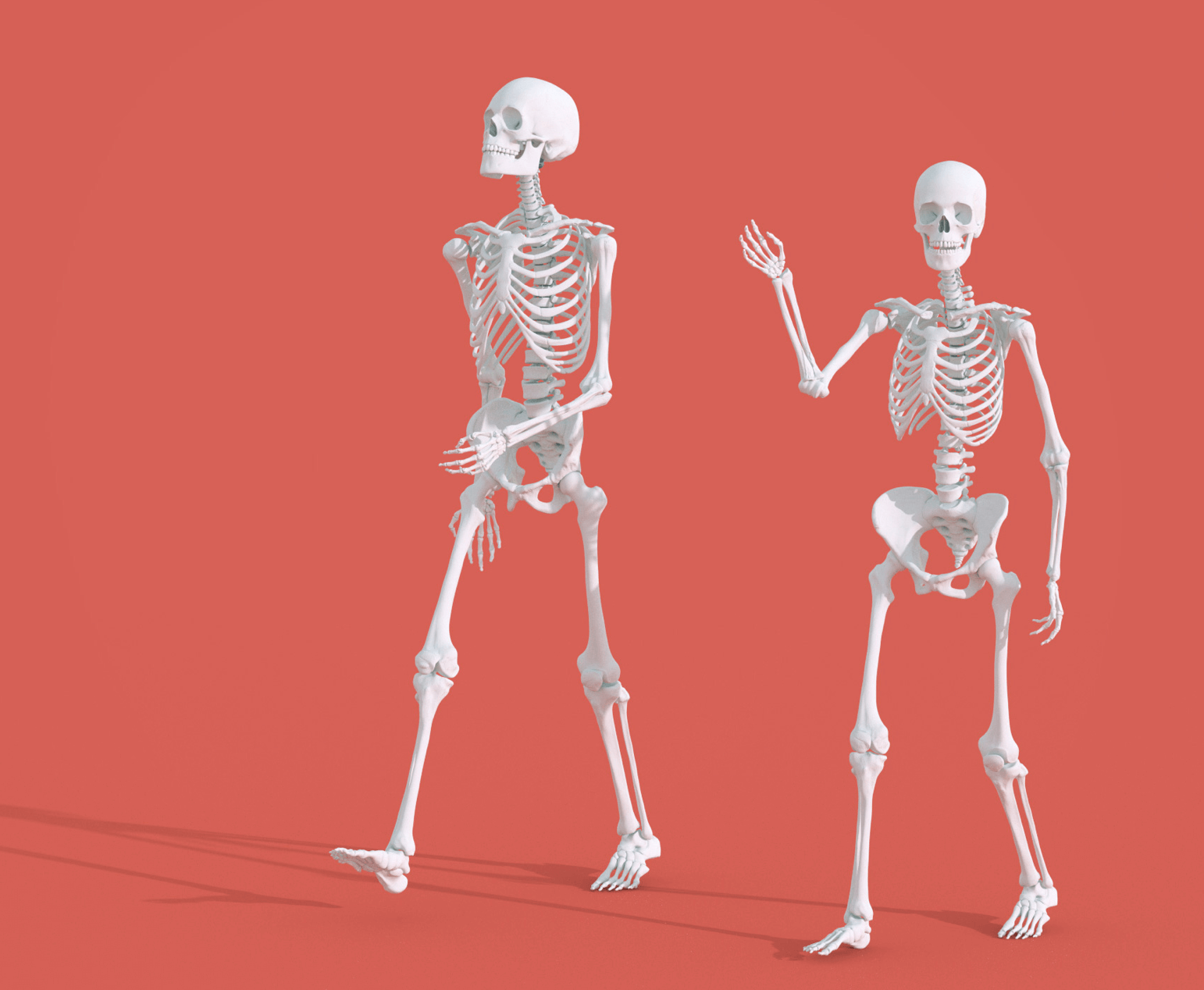 Sexual selection: How evolution is making men taller and larger while ...