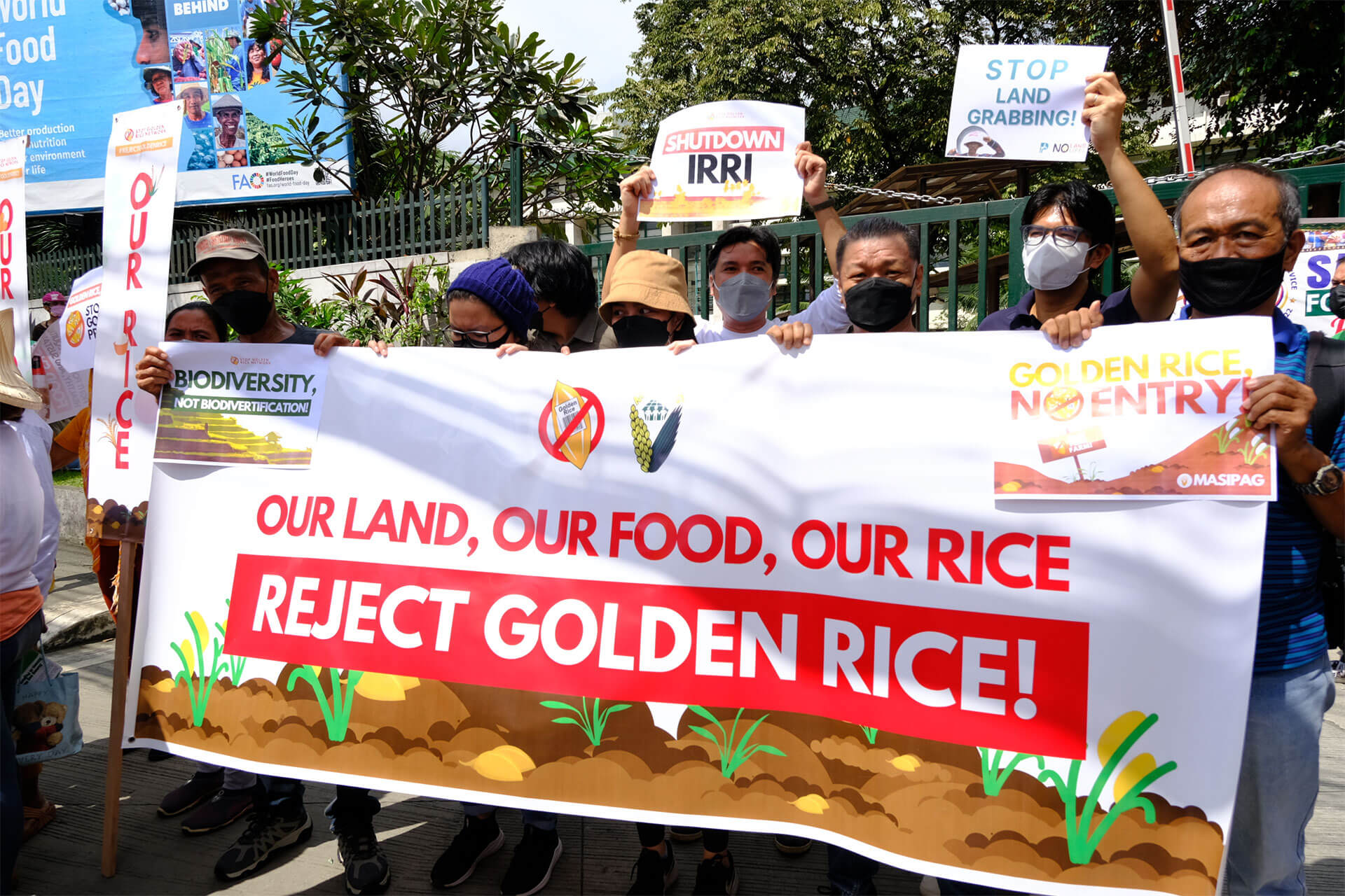 Viewpoint: Vitamin-rich Golden Rice mired in the ideological infighting ...