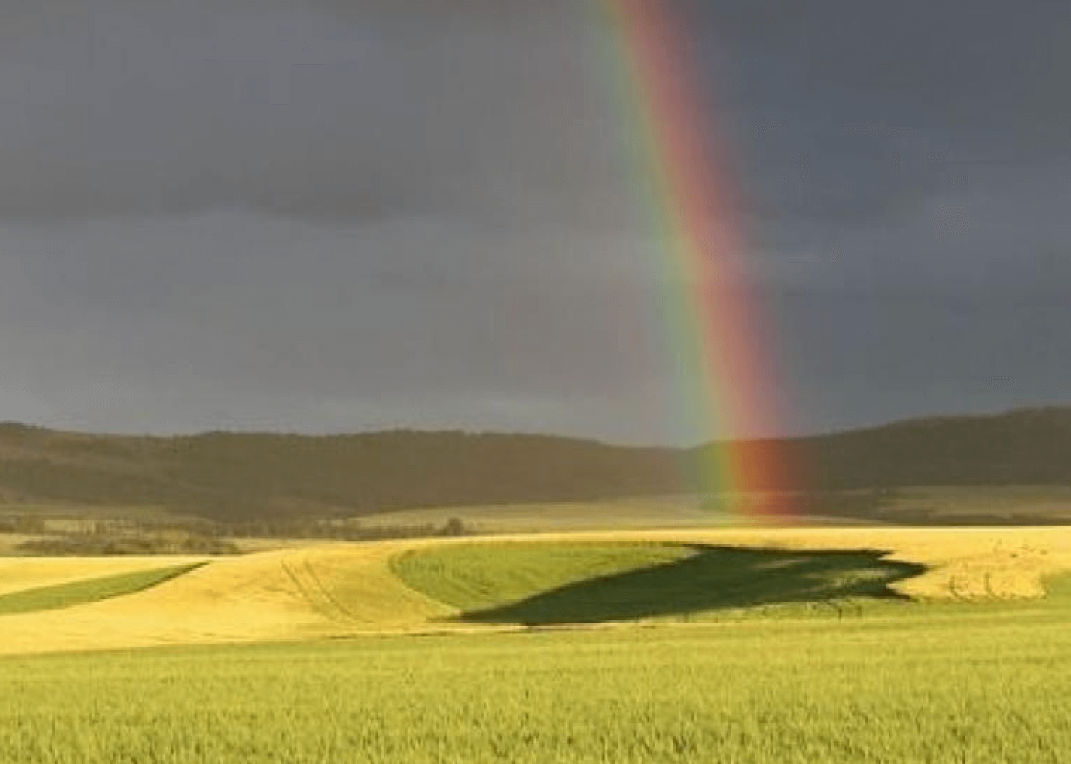 How biotech shapes climate-smart agriculture in Asia and Australasia ...