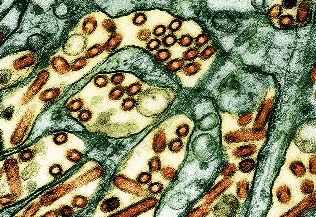 Bird flu? Don’t worry, we fired the scientists - Genetic Literacy Project