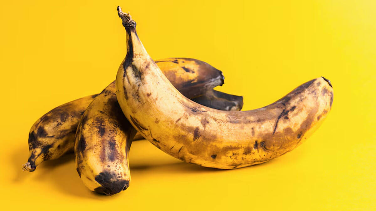 60% of imported bananas go bad. How non-browning gene edited varieties ...