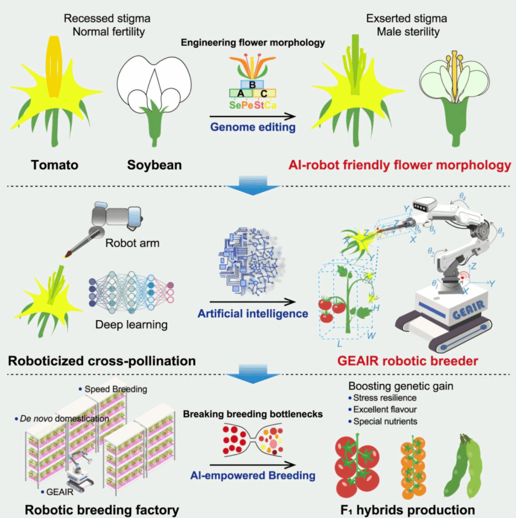 Creating easy pollinating flowers: How AI and gene editing work round ...