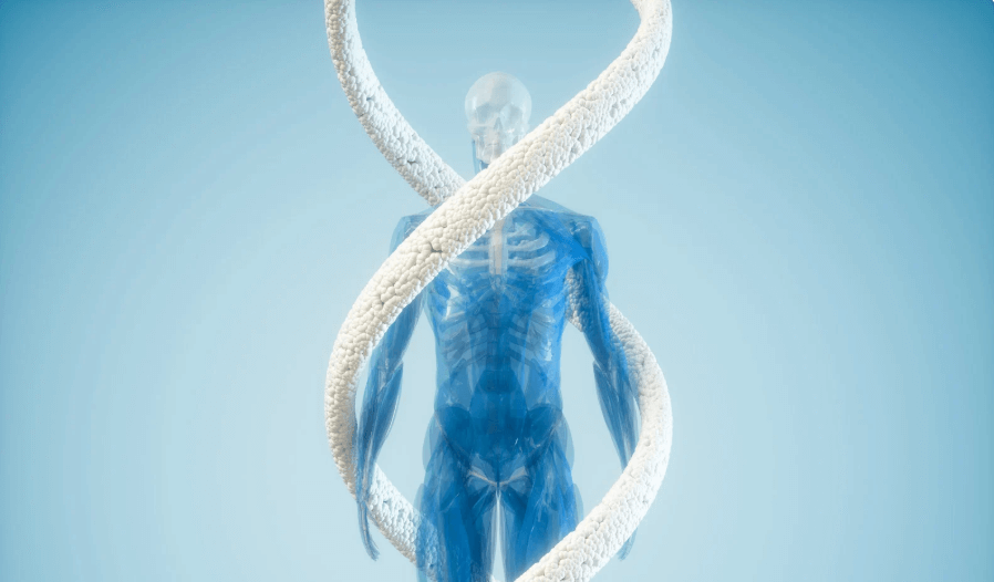 Would humans re-evolve if we went extinct? - Genetic Literacy Project