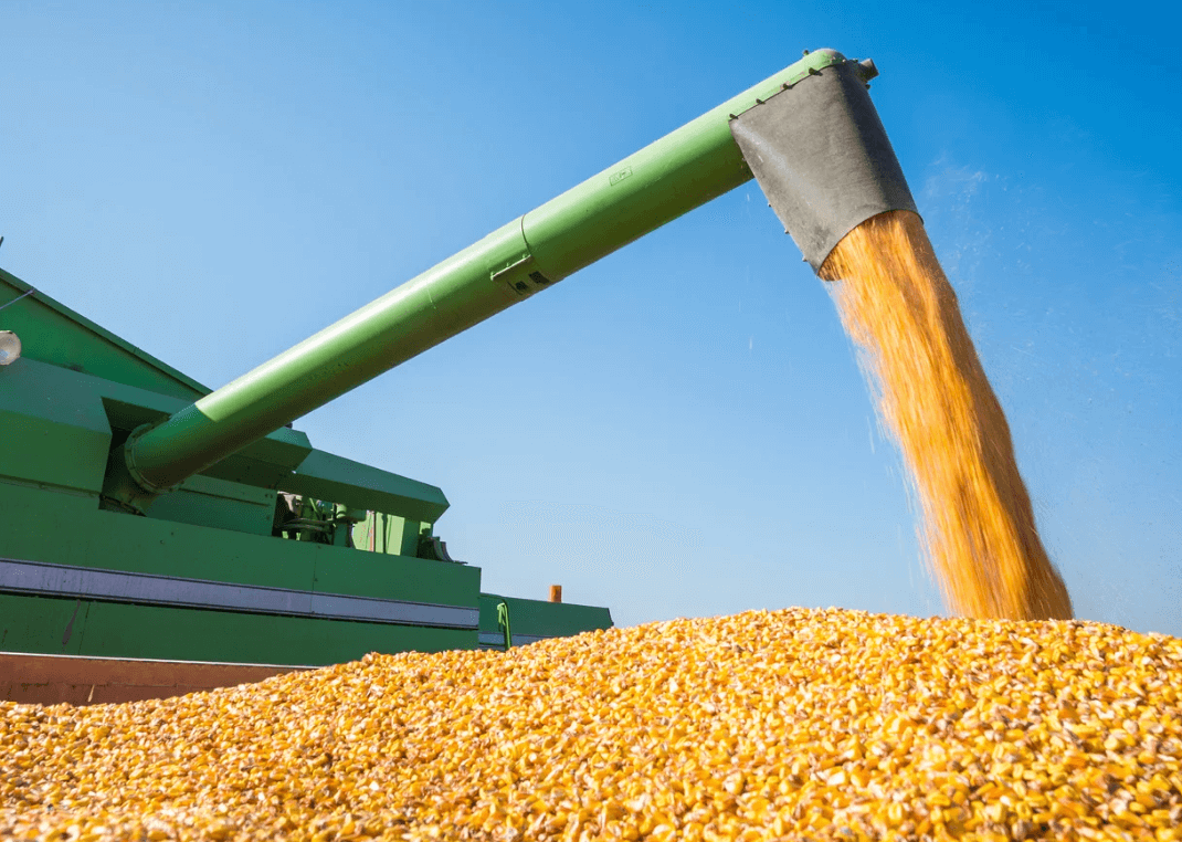 Activist claims that U.S. crop yields are in decline are mostly ...