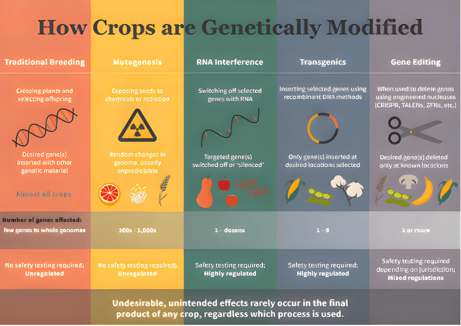 Beautiful and delicious mutants on your plate: The misunderstood world ...