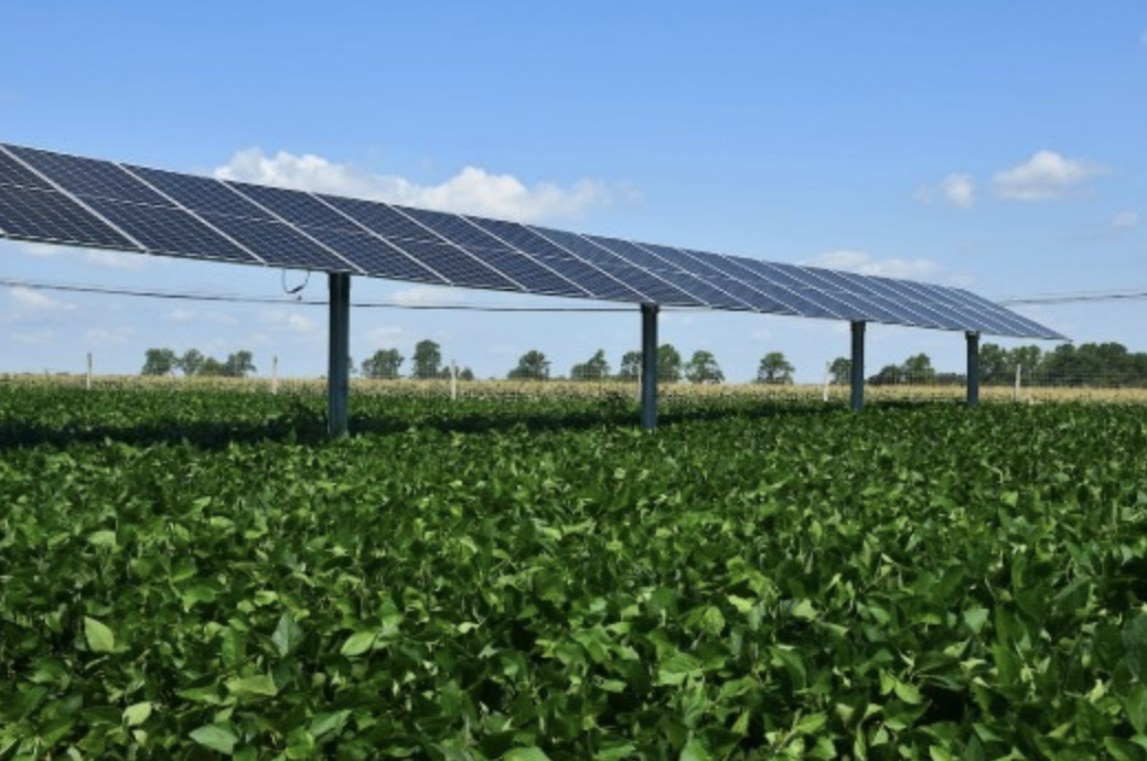Republican lawmakers spread misinformation claiming solar farms ...