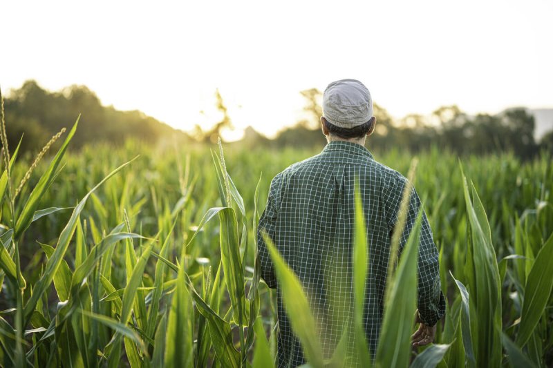 There is no agreed upon definition of regenerative agriculture ...
