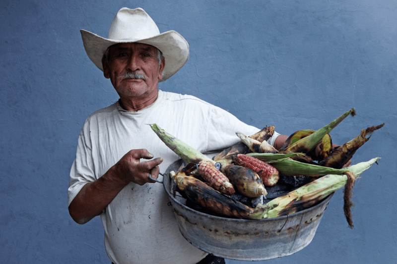 Mexico's ban on GM corn 'could disproportionately affect the nation's ...