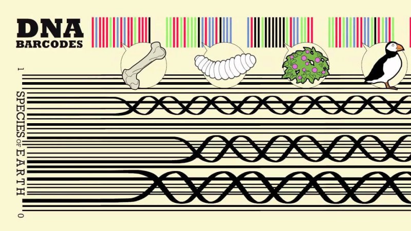 CRISPR paired with DNA barcoding could track cancer growth - Genetic ...