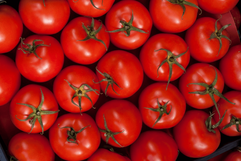 Bayer tackles vitamin D deficiency with gene-edited tomatoes, enhanced ...