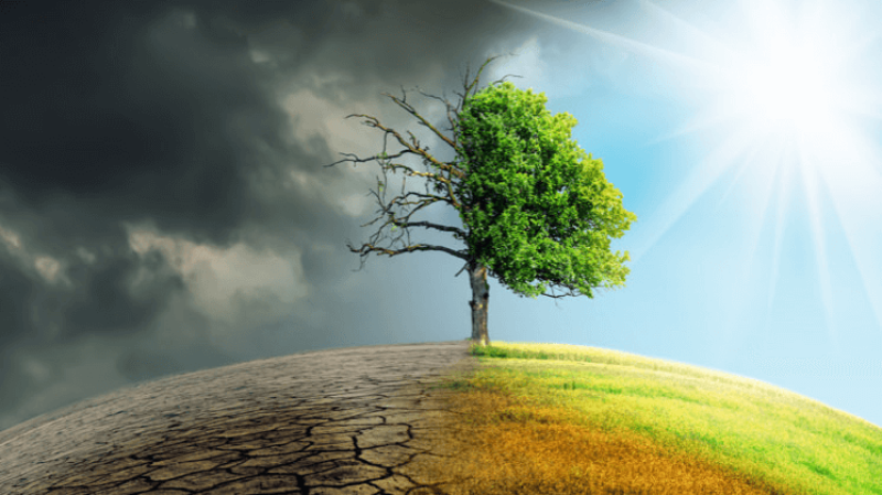 Humans are adapting to global warming. What are the policy implications ...