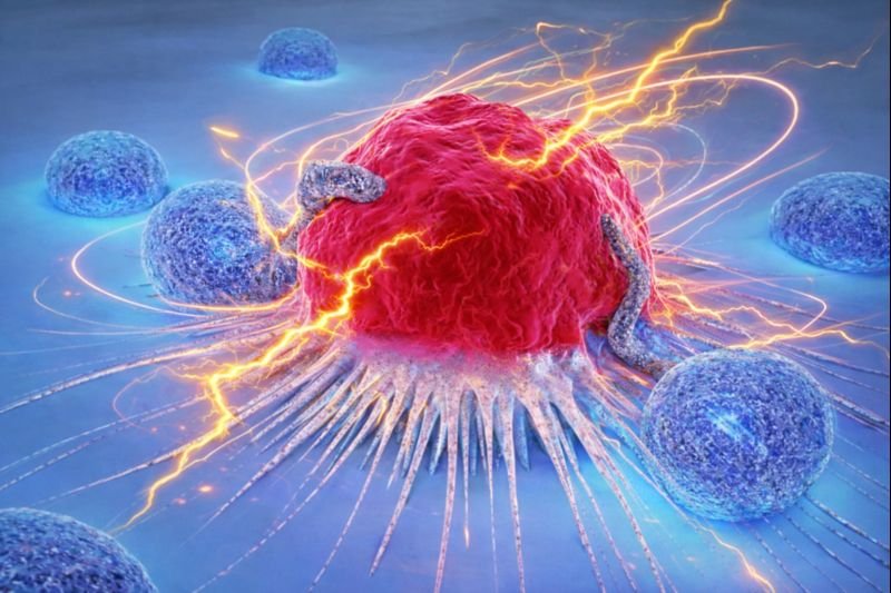 Viewpoint: COVID vaccines caused ‘turbo cancers’? MAHA disinformers ...