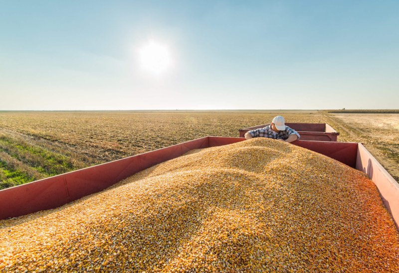 How sustainable is North American soybean production? - Genetic ...