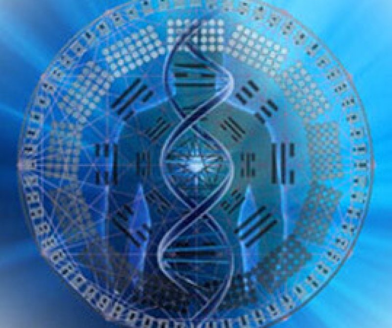 Scientist knocks view of genes as "blueprints" for development ...