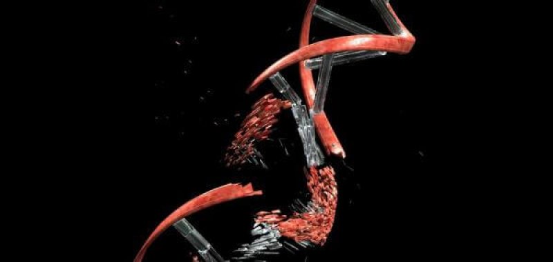 "Intelligent" DNA helps repair cell damage and prevent tumors - Genetic ...