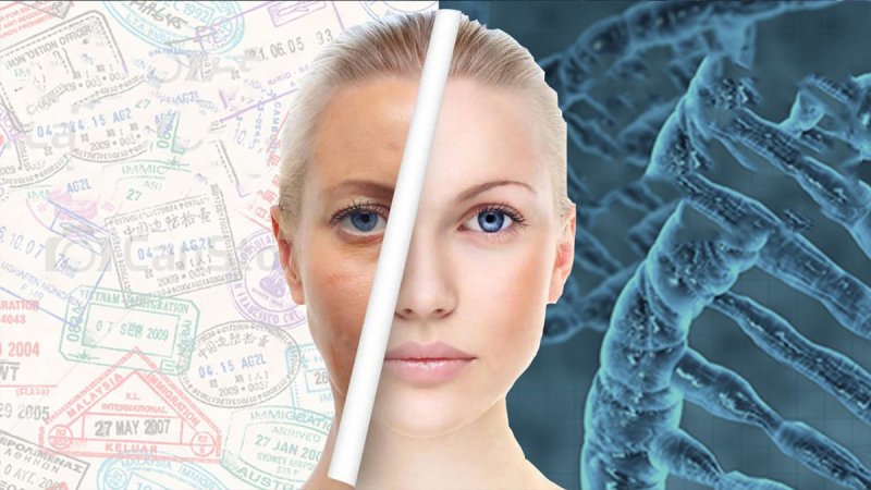 Honing in on the difference between chronological and biological age ...