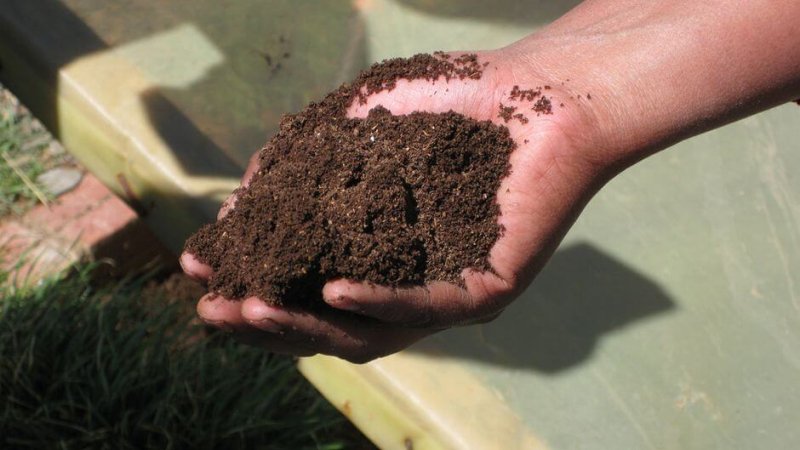 Processed human sewage waste is sometimes used as cheap fertilizers. It ...