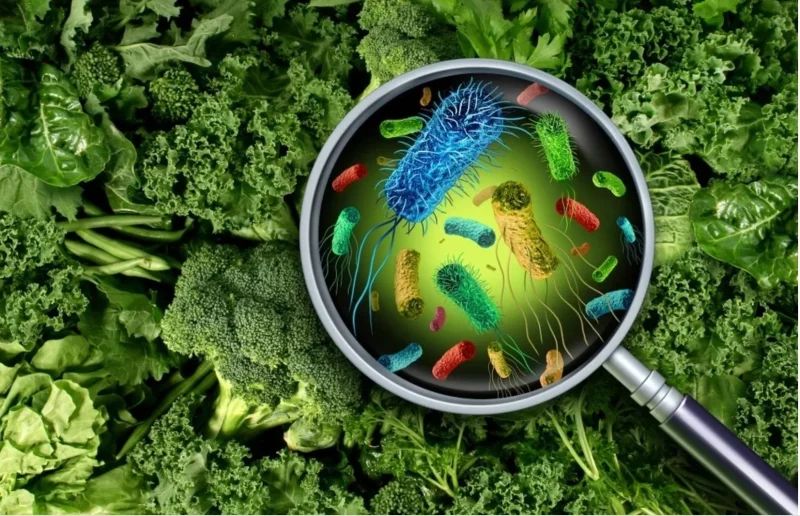 Viewpoint: Misplaced MAHA health strategy: Remove products that science ...