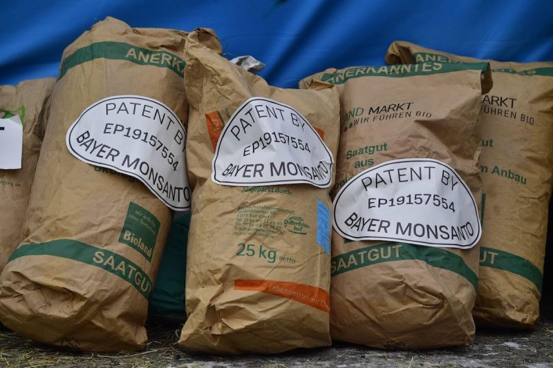 Agribusiness giant Bayer introduces new focus on organic seeds ...