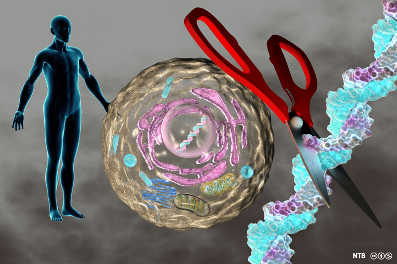 CRISPR 2.0: How AI can hlep design molecules that don't exist in nature ...