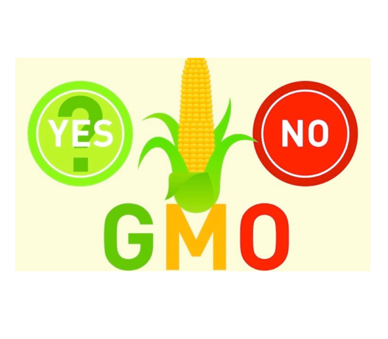 Recapping the 2015 GMO debate: Science eclipses 'Dark' voices of anti ...