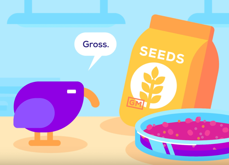 Video: Facts, fears and future of GMOs—in a nutshell - Genetic Literacy ...