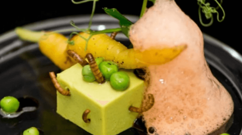 Gourmet dinner crafted from edible insects? Despite the 'eew factor ...