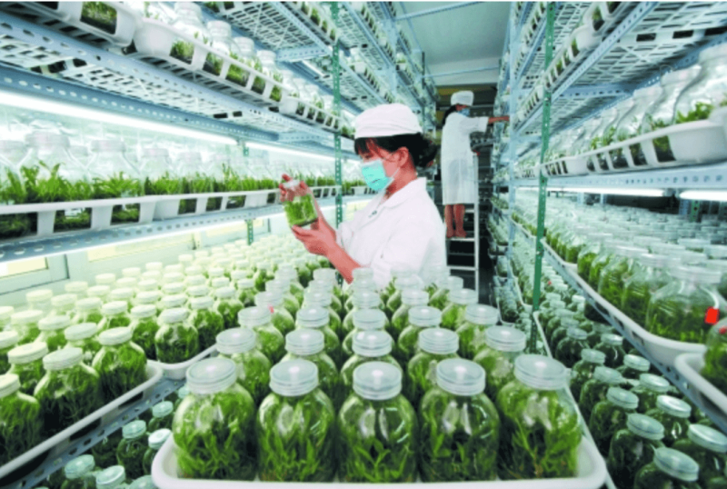 Europe’s bioindustry 4.0: ‘The upside of biotechnology is that it can ...