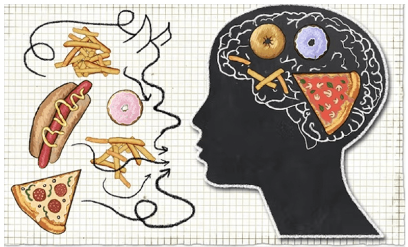 Anorexia cases in the U.S. have doubled in recent years, and treatments ...