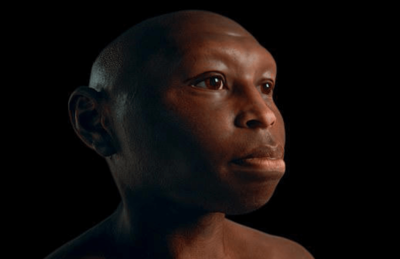 Putting faces on the human tree of life: From Hobbit to 300,000 year ...