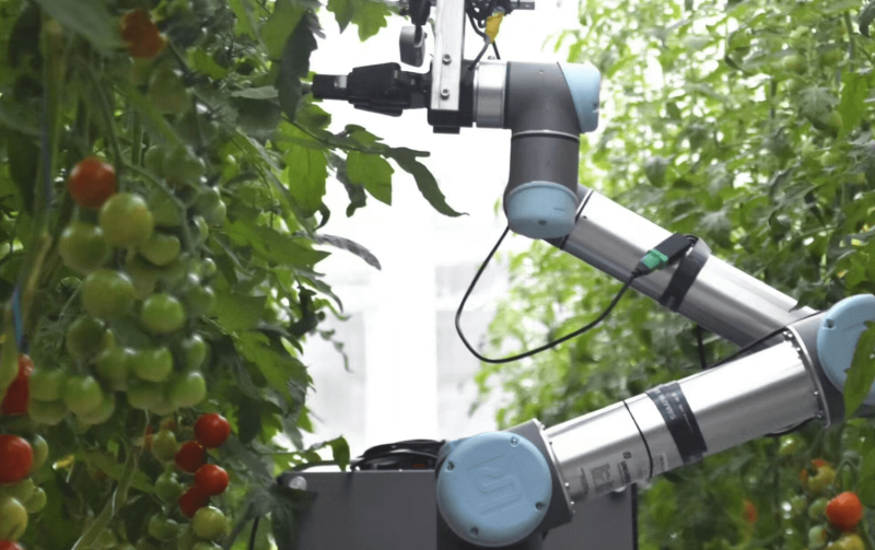 Creating easy pollinating flowers: How AI and gene editing work round ...