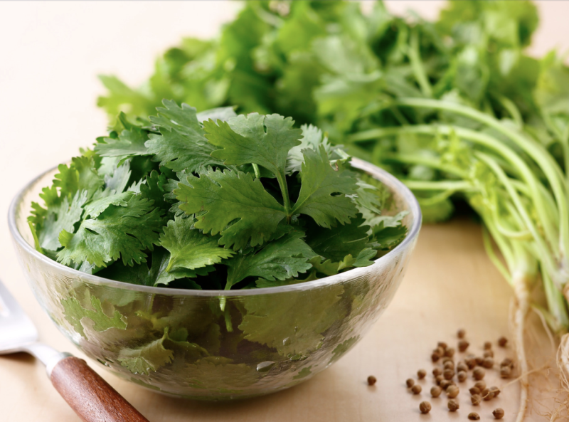 Cilantro tastes like soap to you? It’s in your genes - Genetic Literacy ...