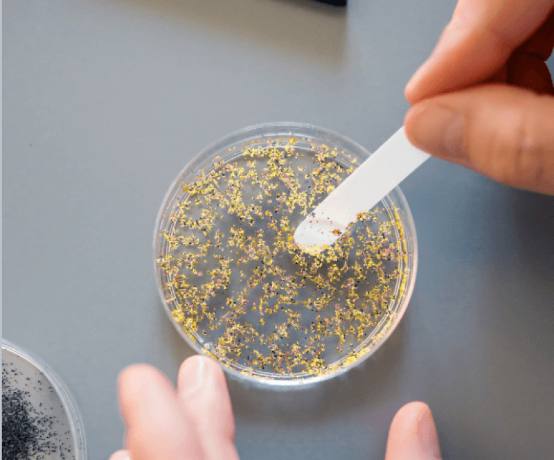 ‘Deficient, Unreliable, Corrupted’: Independent EU food science ...