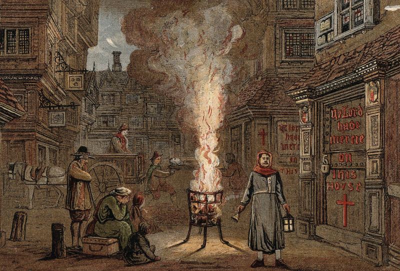 Volcanic eruptions brought the Black Death plague to Europe - Genetic ...