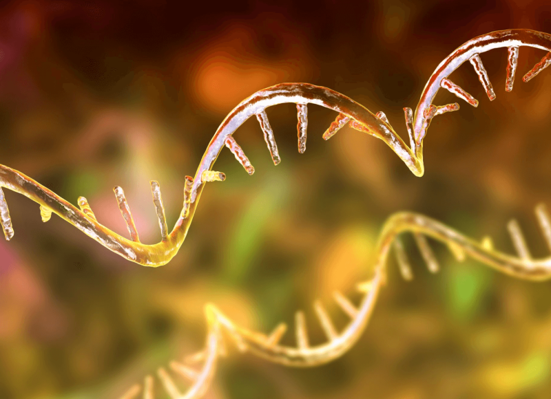 Might CRISPR gene editing in medicine open up a can of 'unintended ...