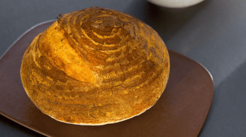 Would you eat bacteria to limit climate change? - Genetic Literacy Project