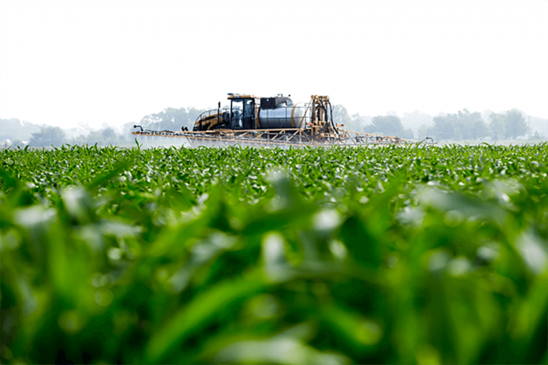GM insect-resistant, herbicide-tolerant corn poses no health risk, EU ...
