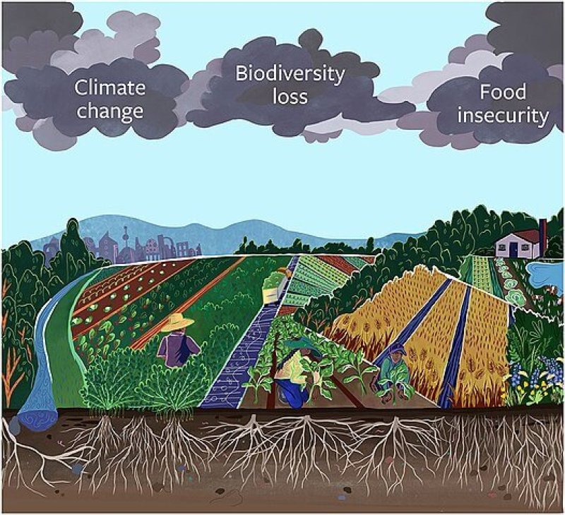 Trump administration cuts $1 billion in funding for sustainable ...